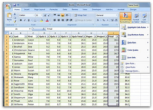 Two Basic Excel 2007 Tips For Grading Efficiency