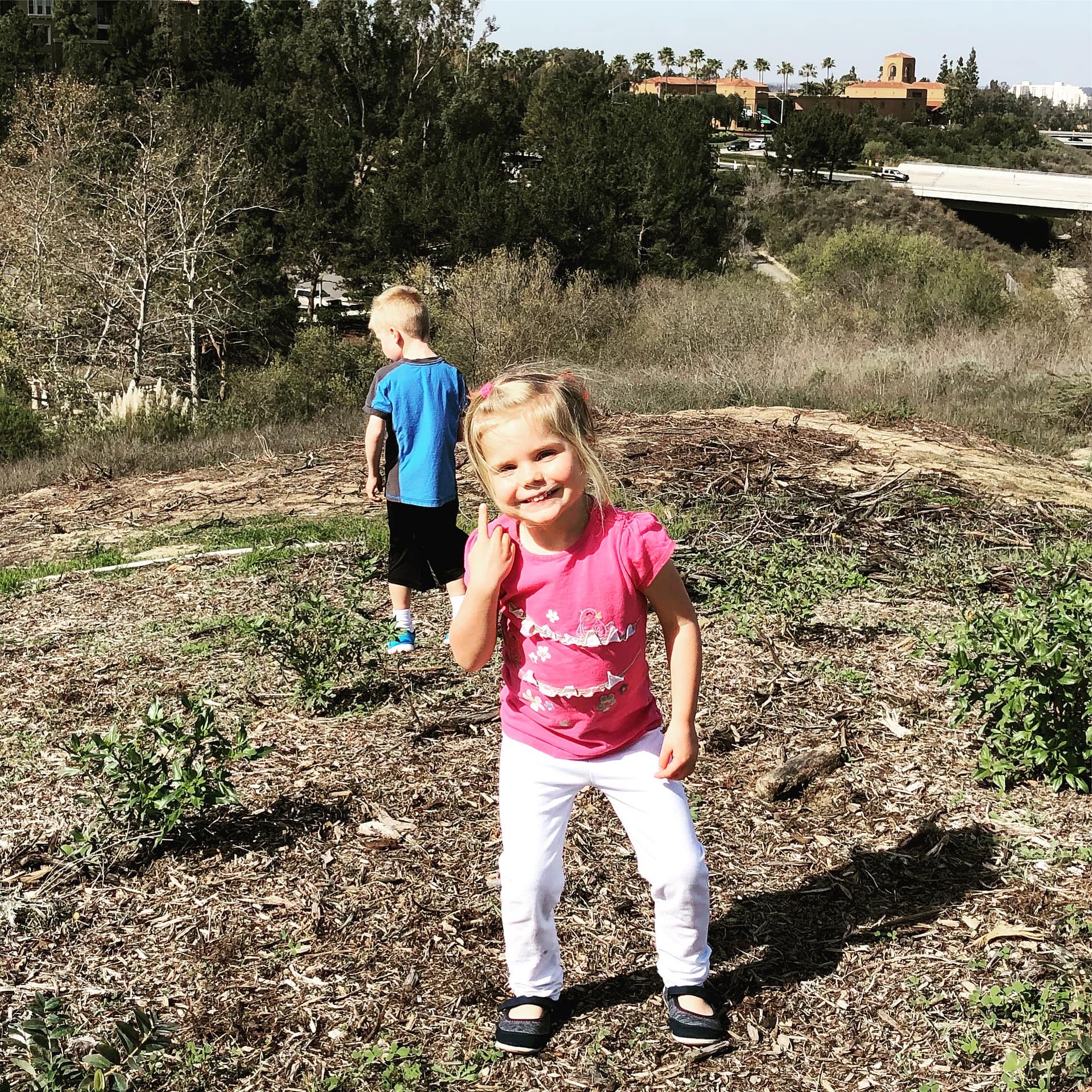 Surprises in the Classroom – Teaching in Higher Ed